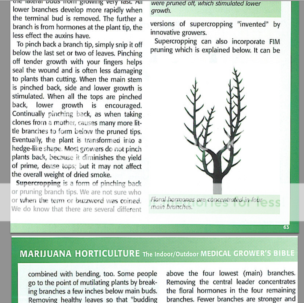 Bit of contrast between Uncle Ben's topping for 4 mains and Nugbuckets ...