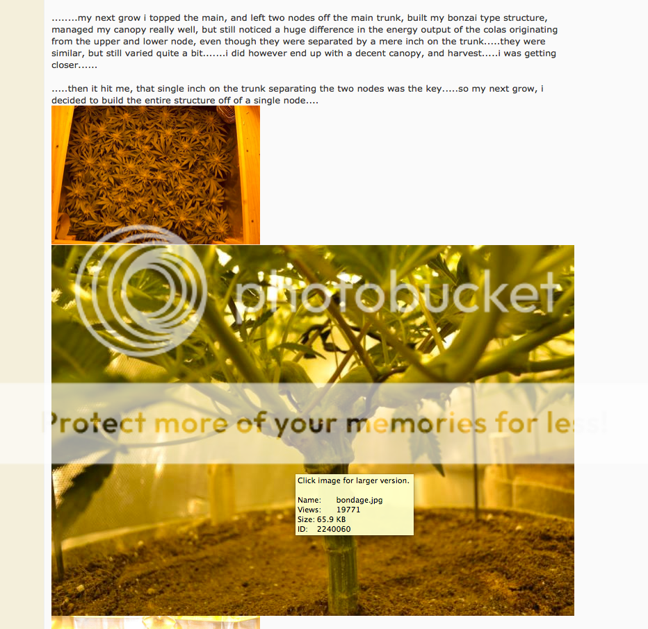 Bit of contrast between Uncle Ben's topping for 4 mains and Nugbuckets ...